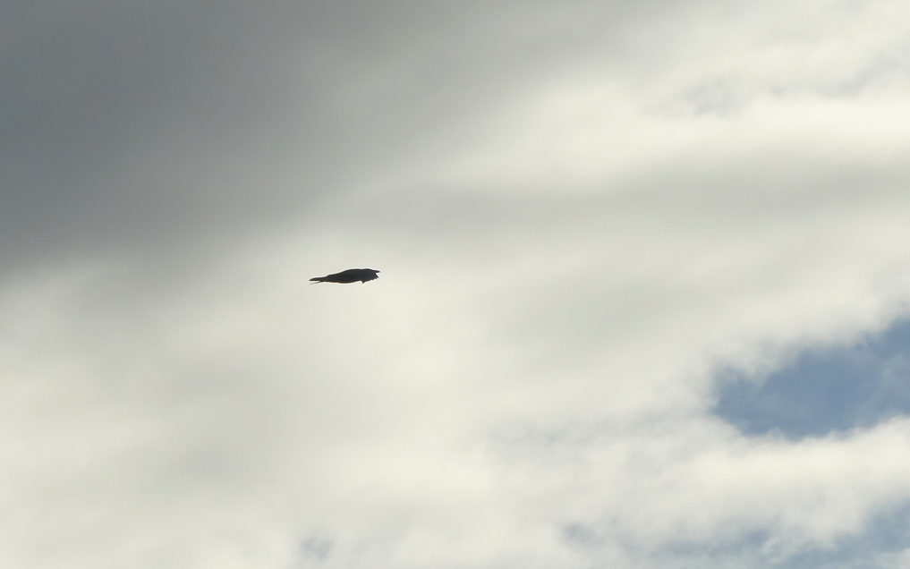 Responsive Design Change on the Fly – Okanagan Okanogan